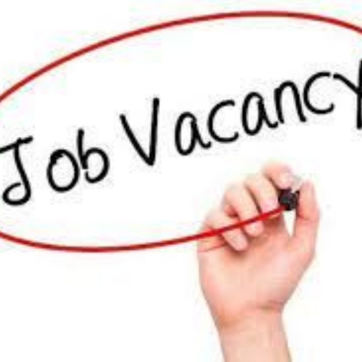 Vacancy! - St Christophers Academy